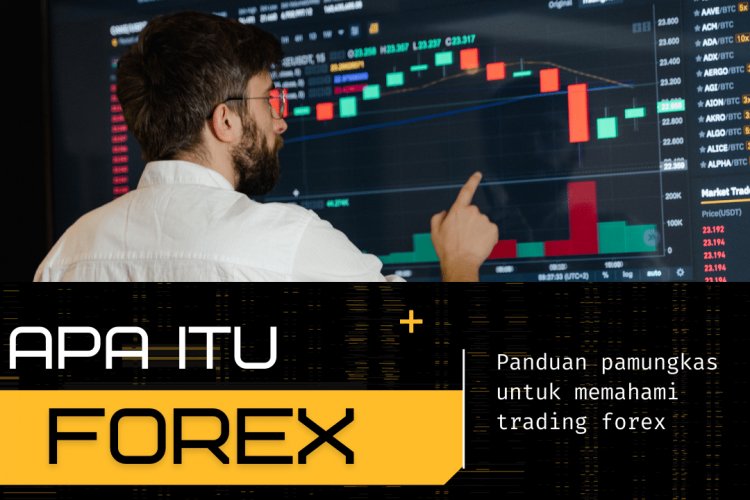 Apa itu forex trading - Fxdark Belajar Trading Pemula